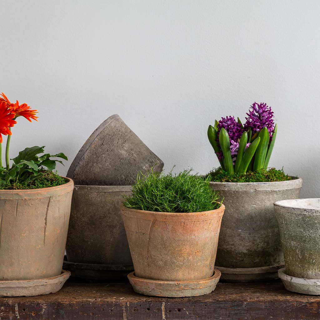 Small Pots | shop-campania