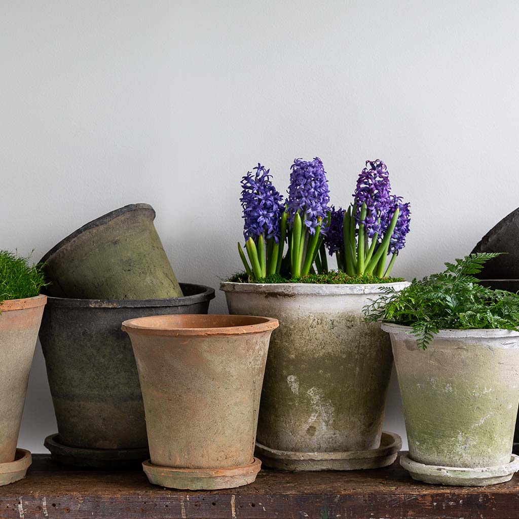 Large Tapered Farmer's Pot || Mixed | shop-campania