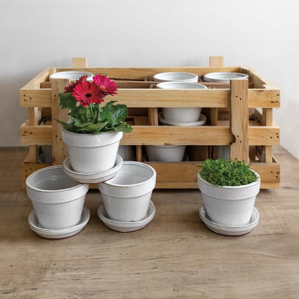 All Planters | shop-campania