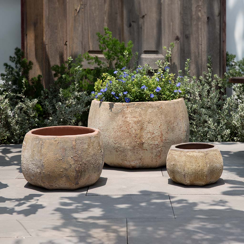Anselmo Planter