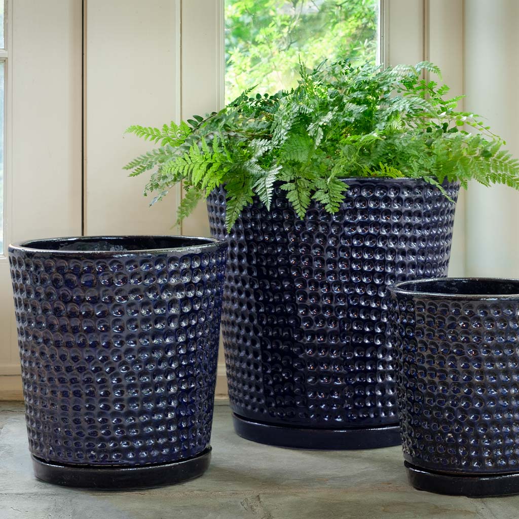 I/O Coin Pot