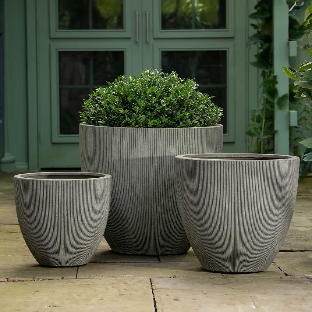 2024-2025 New Products | shop-campania