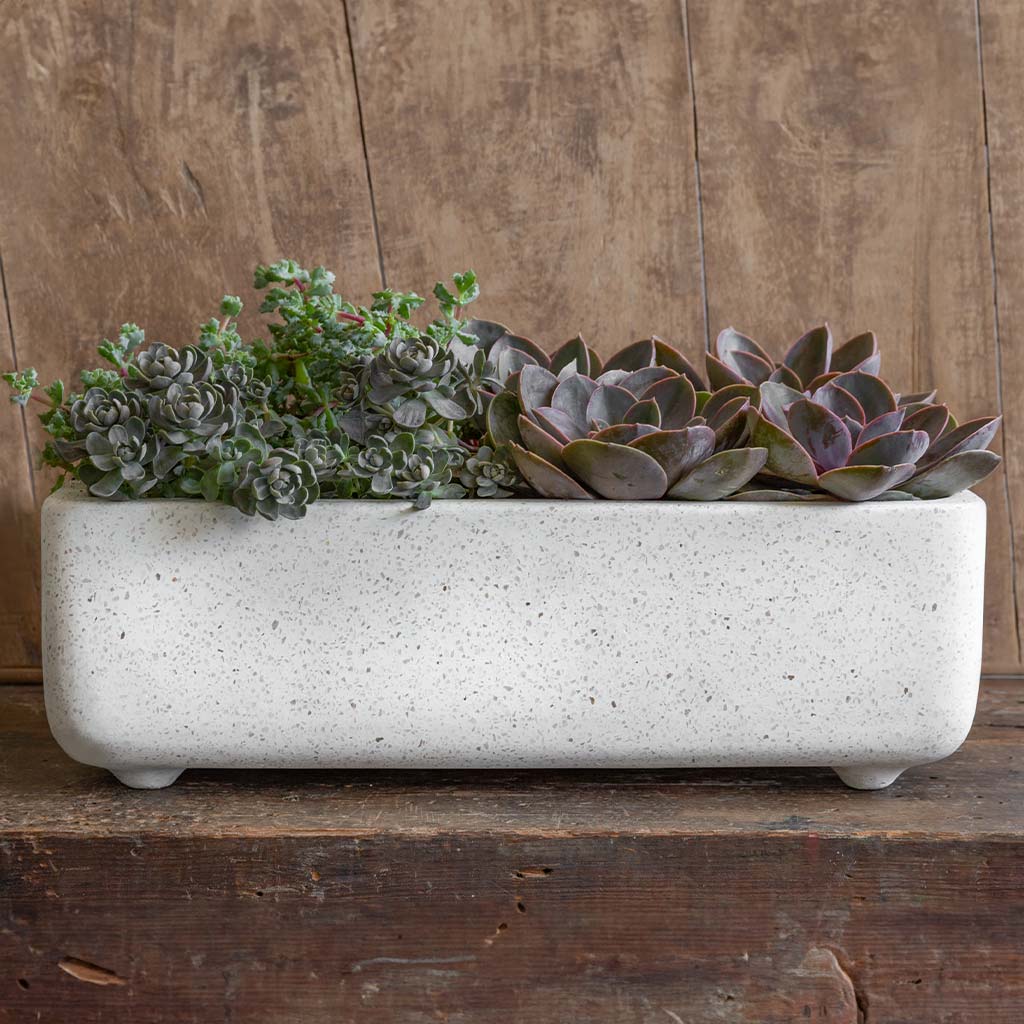 Lightweight Planters | shop-campania