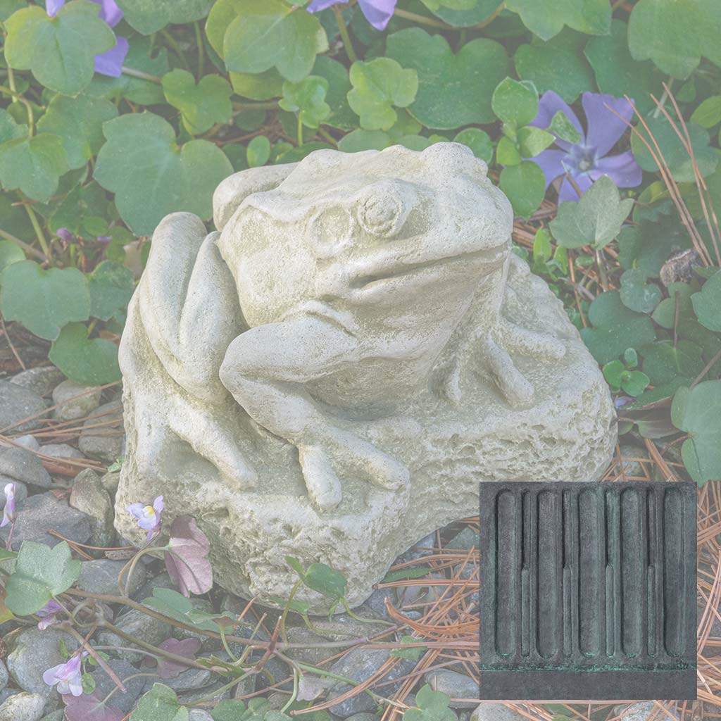 Forest Frog | shop-campania