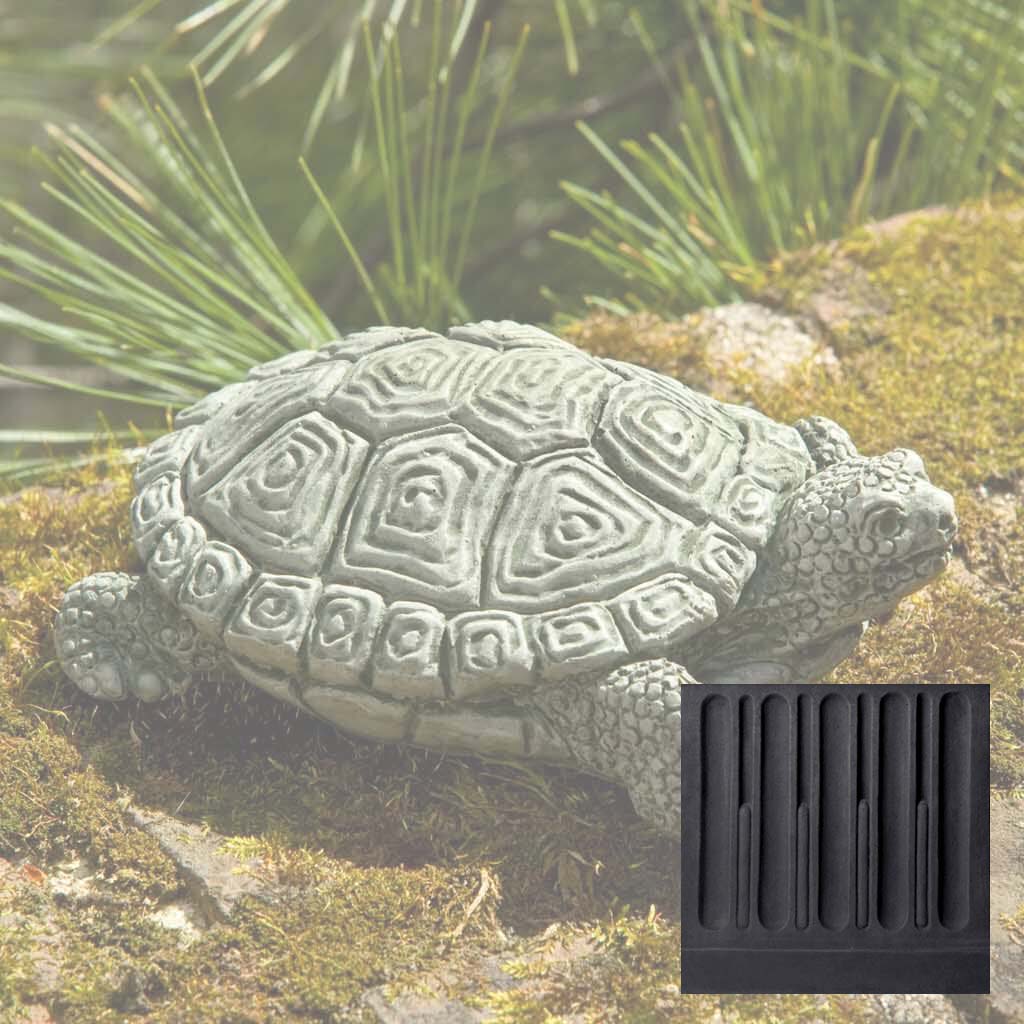 My Pet Turtle | shop-campania