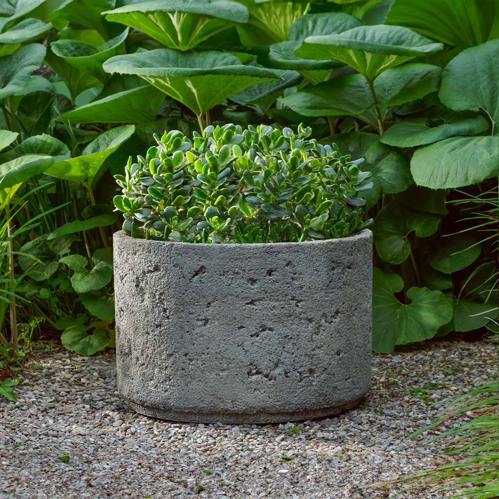 New Cast Stone Planters | shop-campania