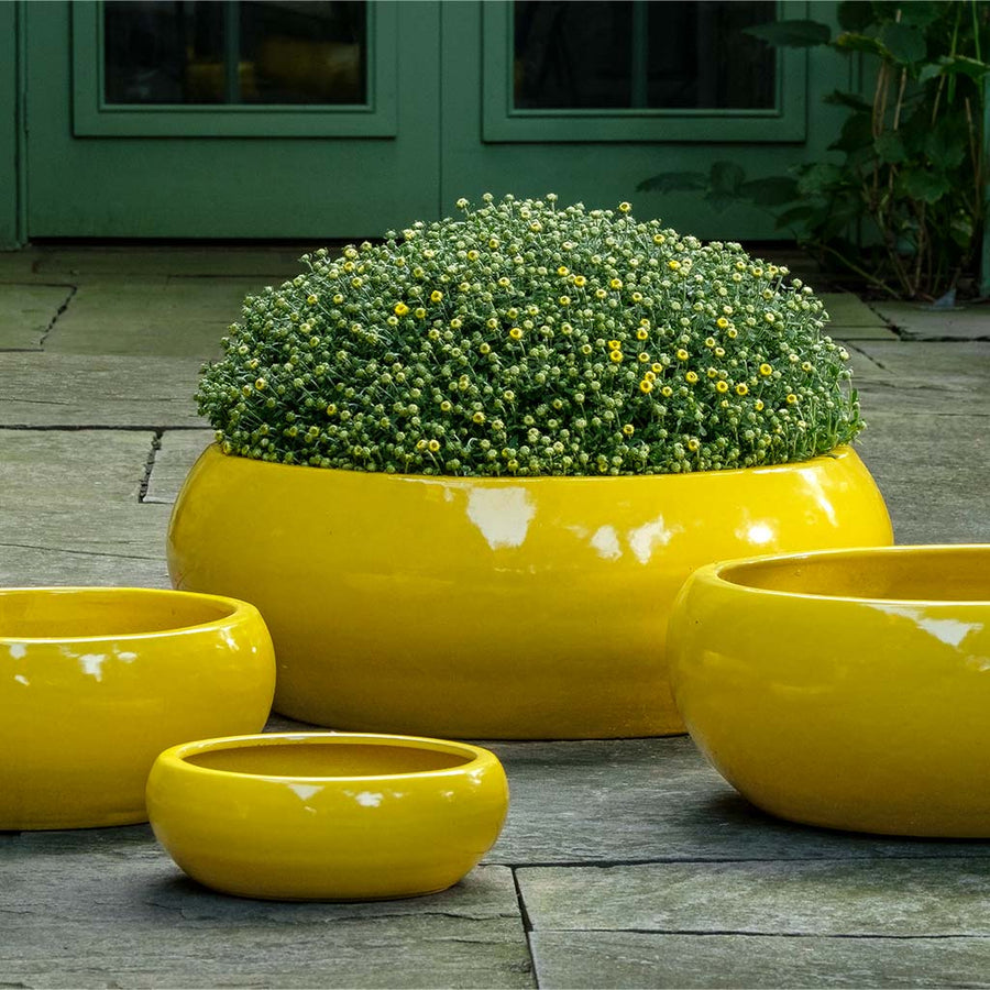 Sasha Planter