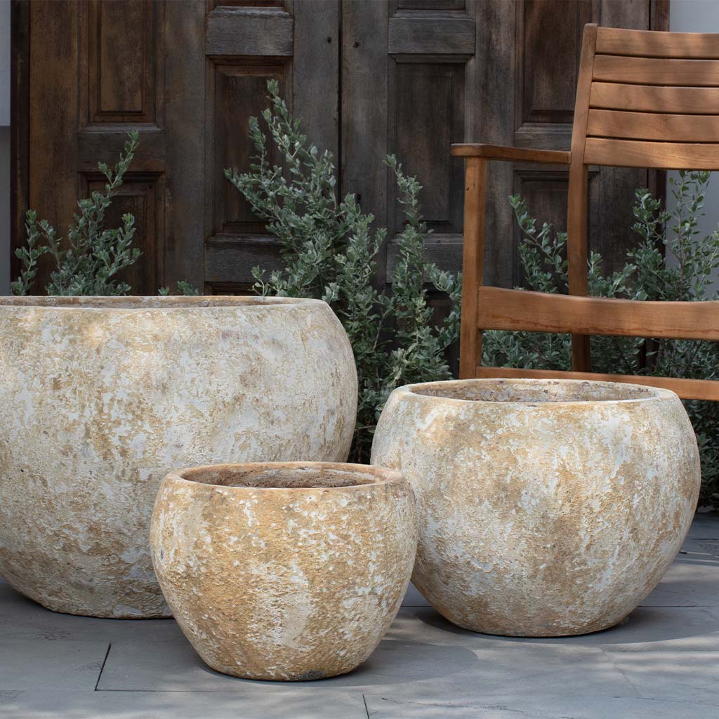 Planters | shop-campania