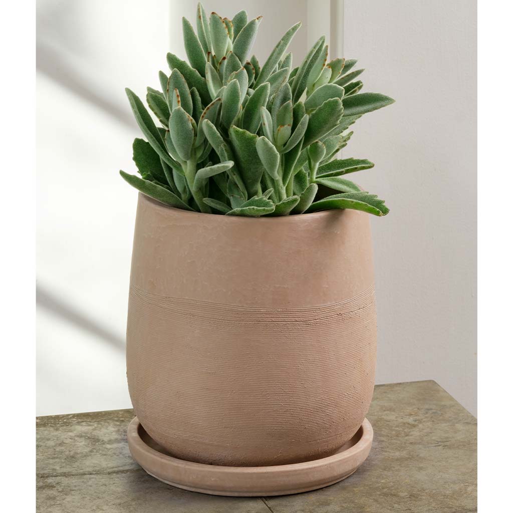 Terra Cotta Planters | shop-campania