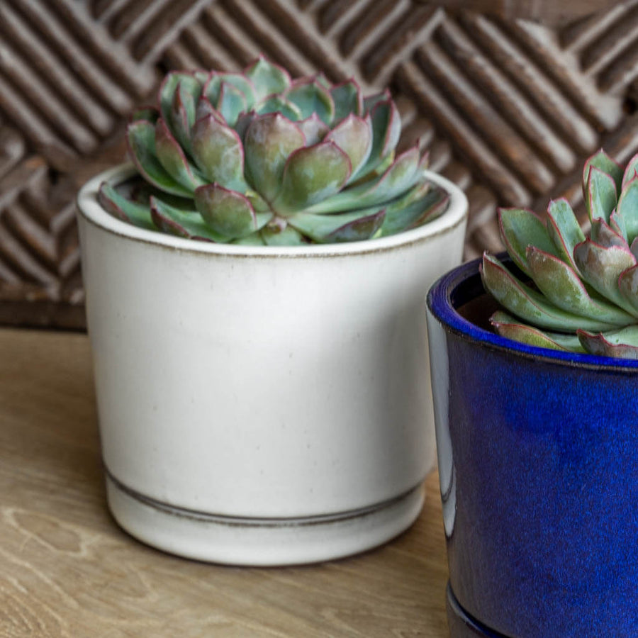 All Planters | shop-campania