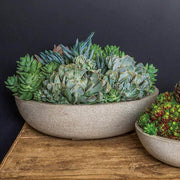 Planters | shop-campania