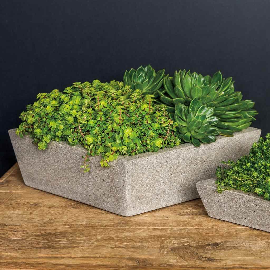 Lightweight Planters | shop-campania