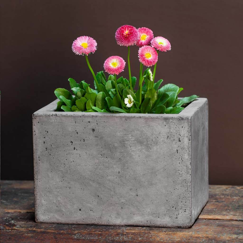 Geo Planter, Small