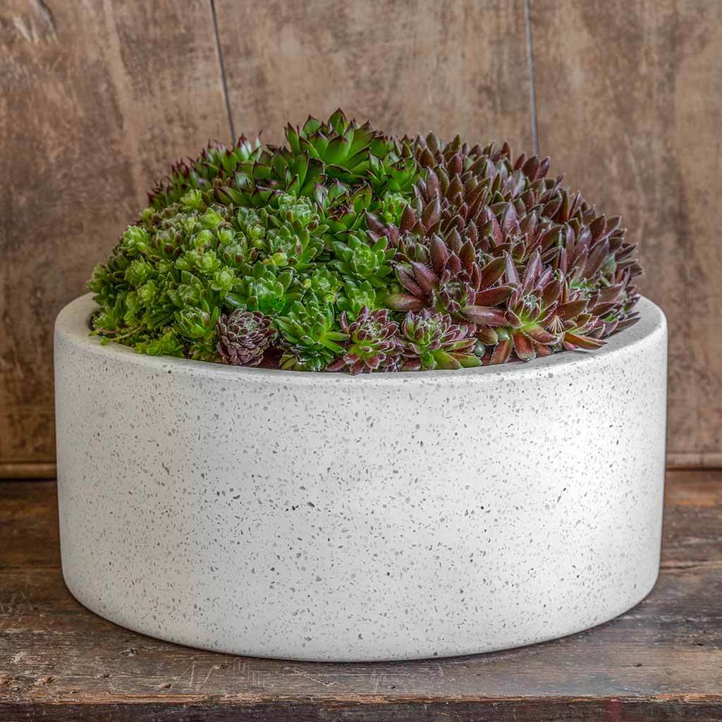 Planters | shop-campania