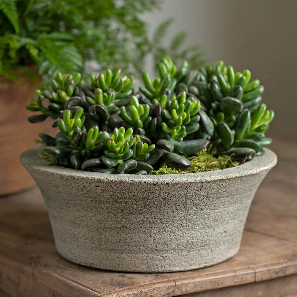 Bulb Planter
